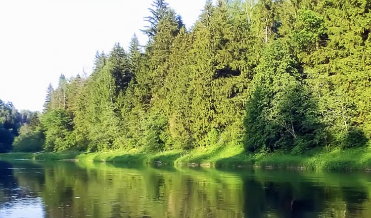 CodeRED Resources | Emergency Communication Tools | CodeRED