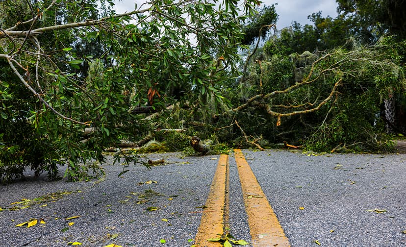 CodeRED Resources | Emergency Communication Tools | CodeRED